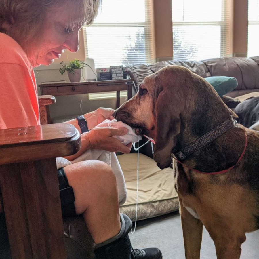 Photos - The Old Mutt Hut