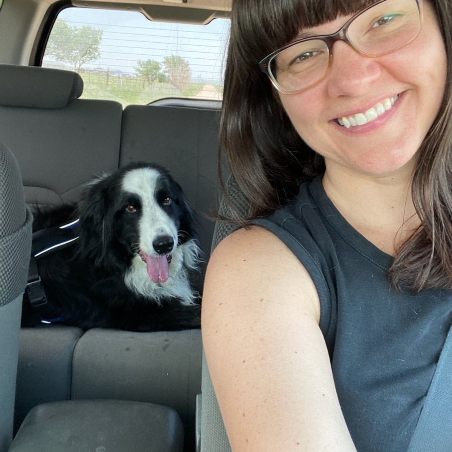 Photos - The Old Mutt Hut